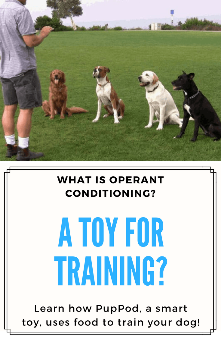 Operant Conditioning and Technology – PupPod